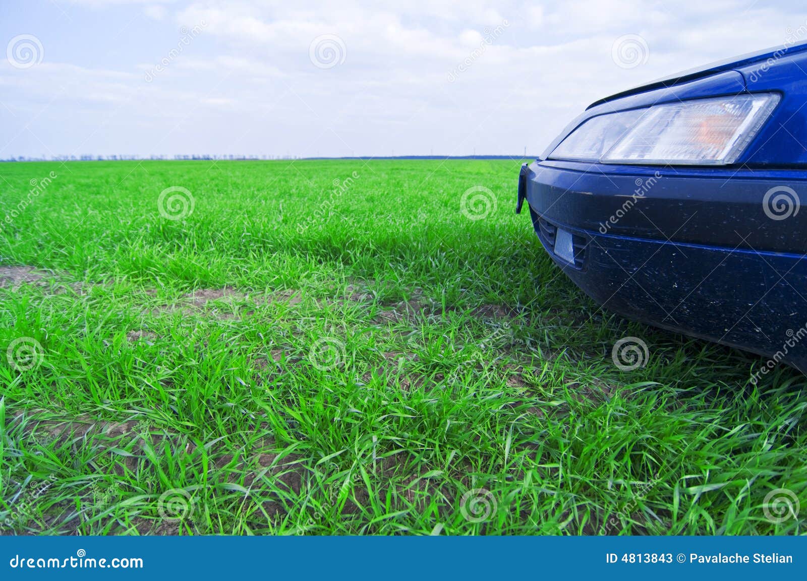 Car in field stock image. Image of automobile, blue, pasture - 4813843