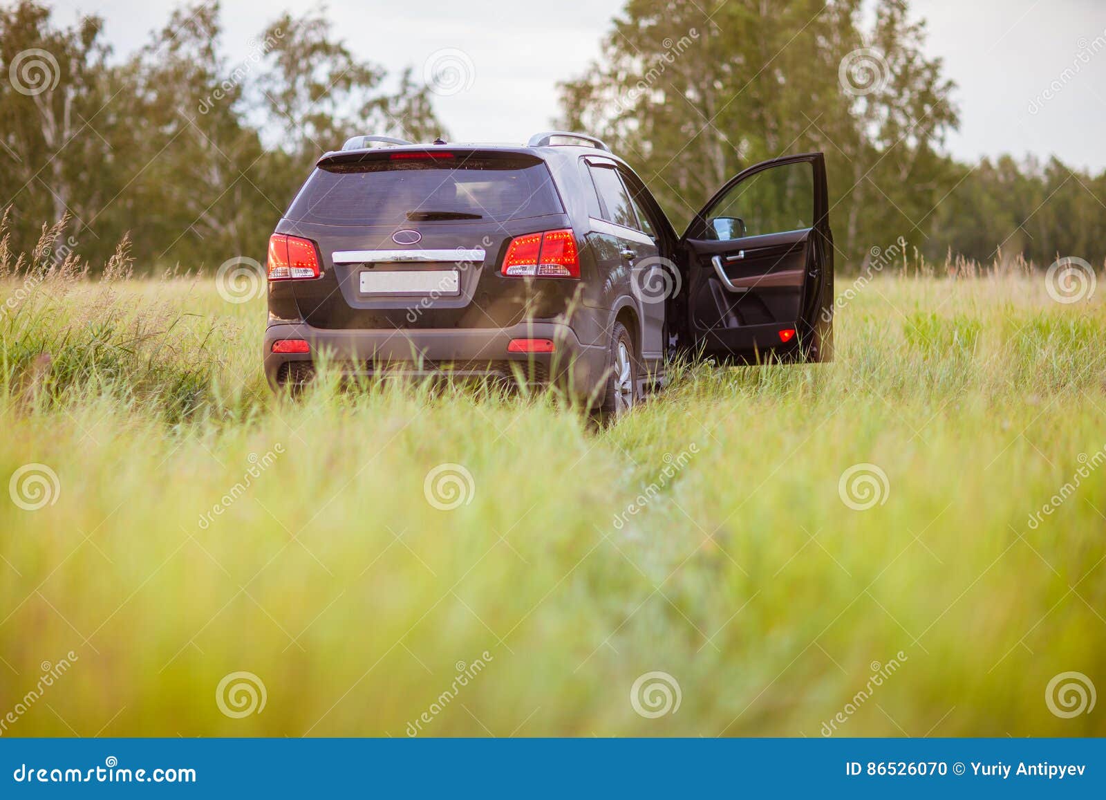 Car in field stock photo. Image of forest, summer, road - 86526070