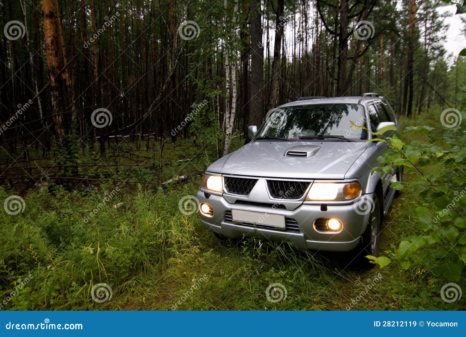 Car in forest stock image. Image of explore, rain, summer - 28212119
