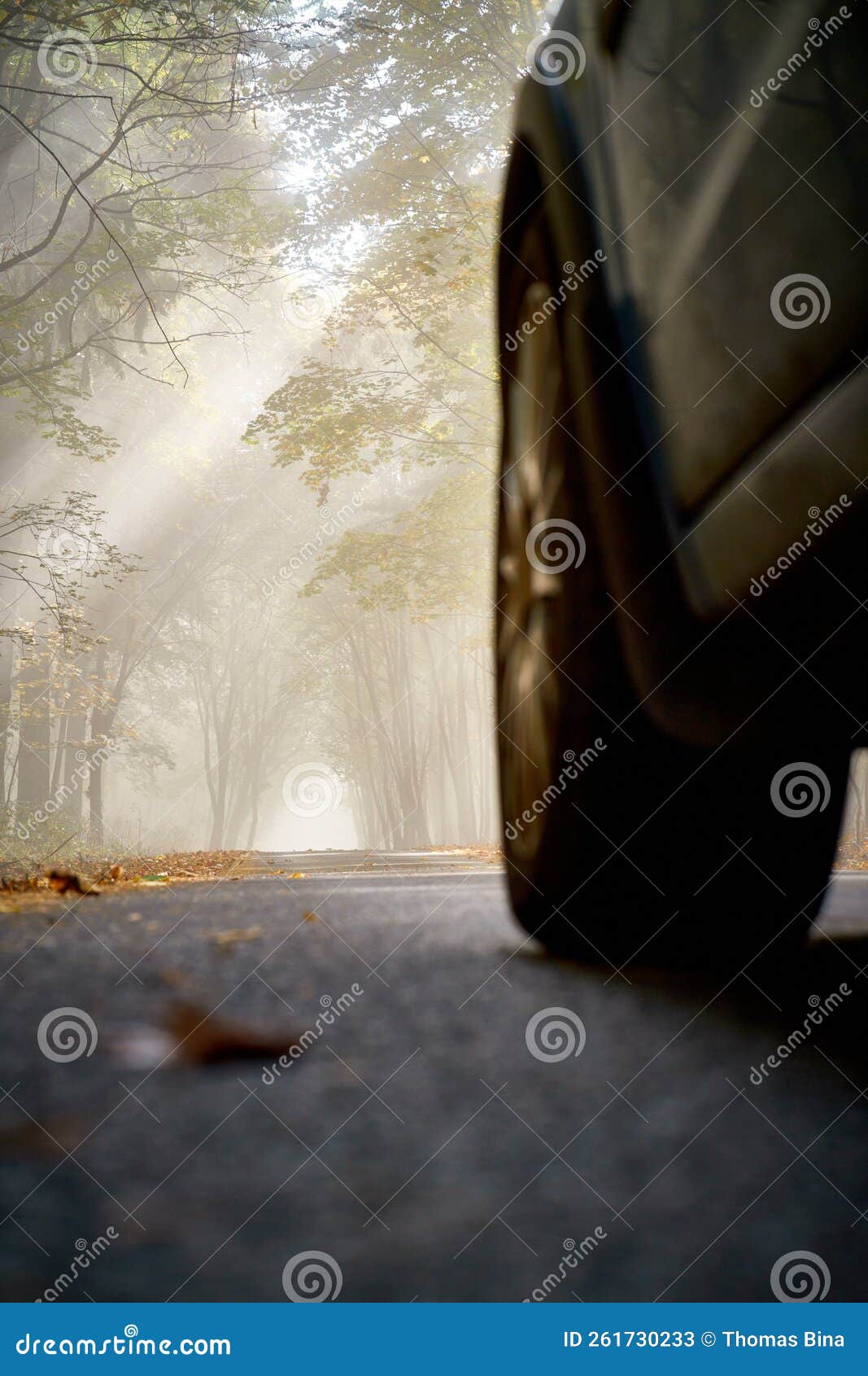 Car on Forest Road, Detail on Wheel Stock Image - Image of roadway ...