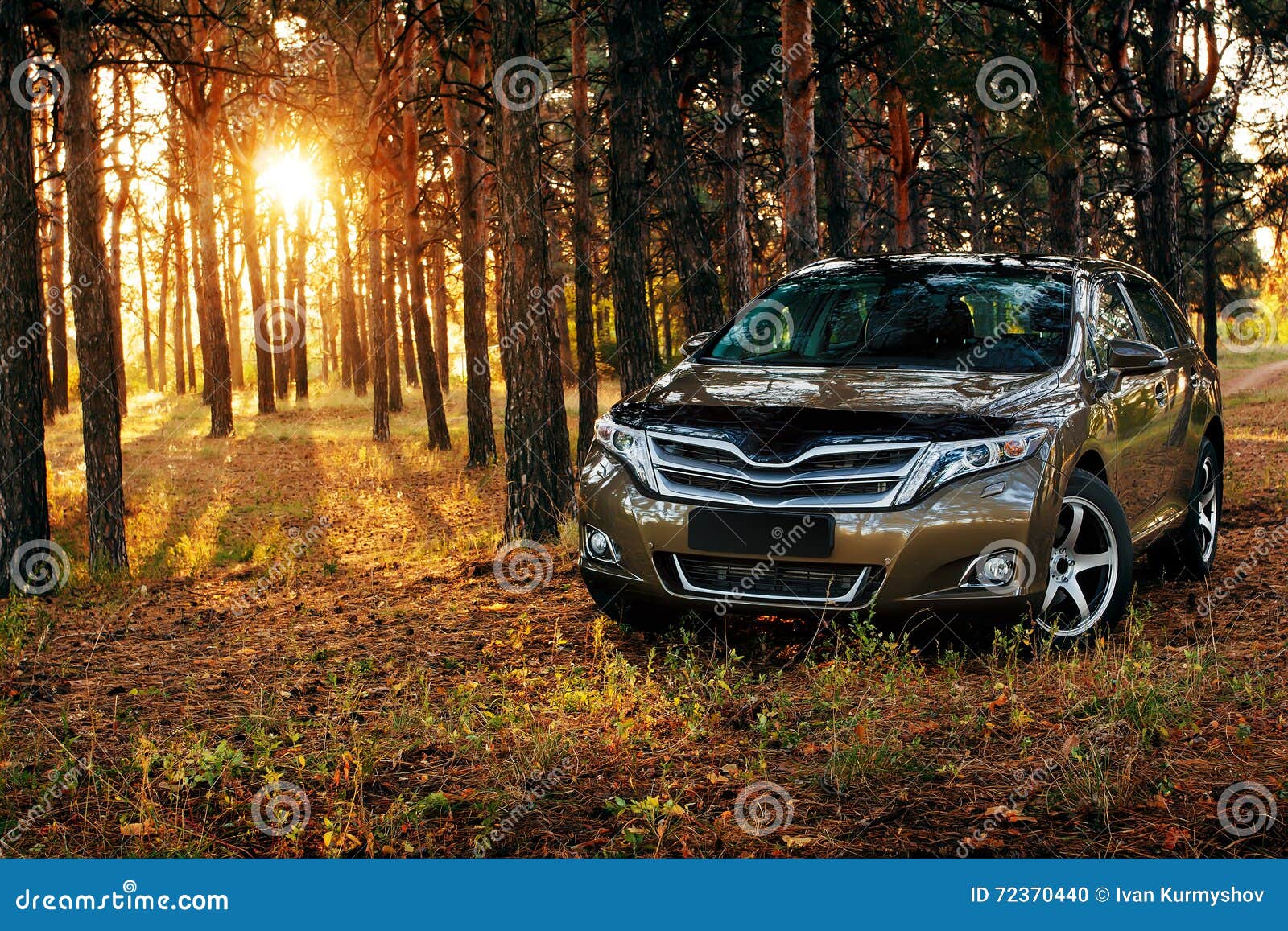 Car in forest at sunset stock photo. Image of wheels - 72370440