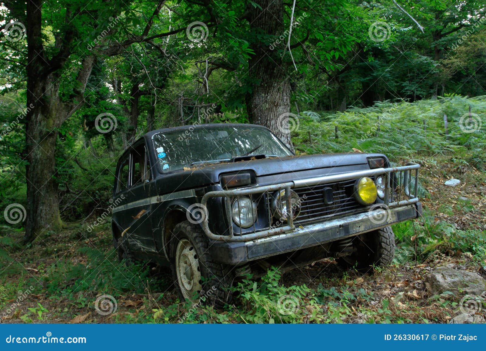 Car in forrest stock image. Image of nature, road, forest - 26330617