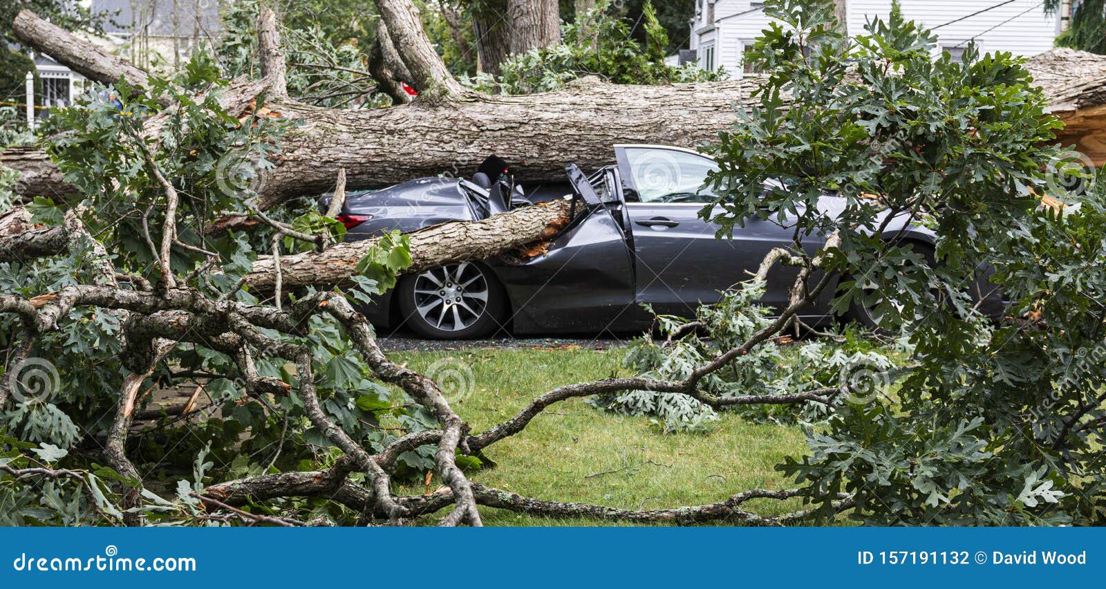Tree Falls and Crushes a Car that Was in the Driveway Stock Photo ...