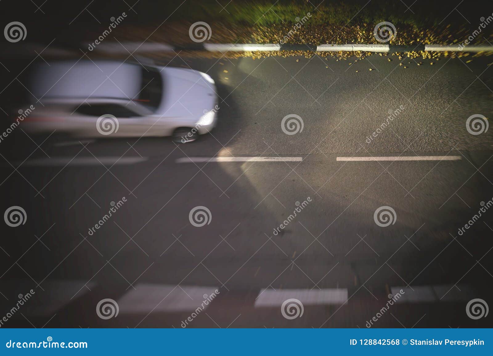 The Car Goes on the Road Lights the Road Headlights. the View from the ...