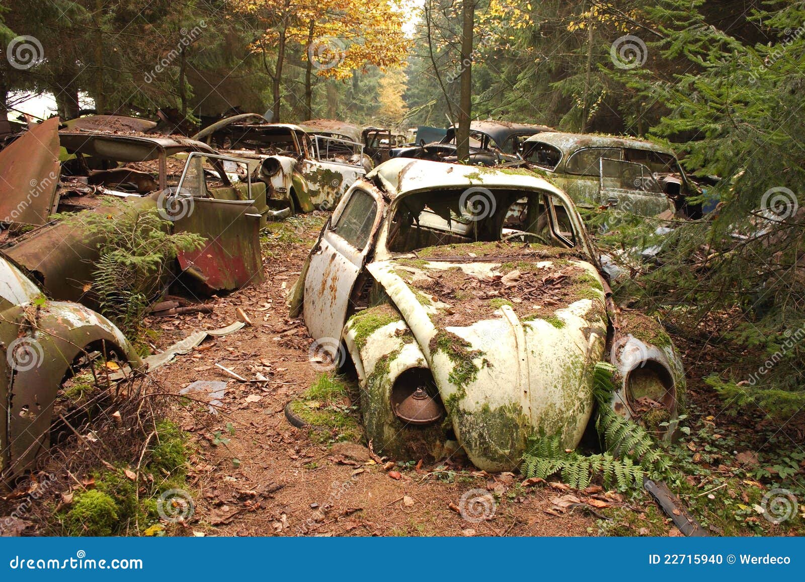Car graveyard 1 stock photo. Image of dump, auto, metal - 22715940