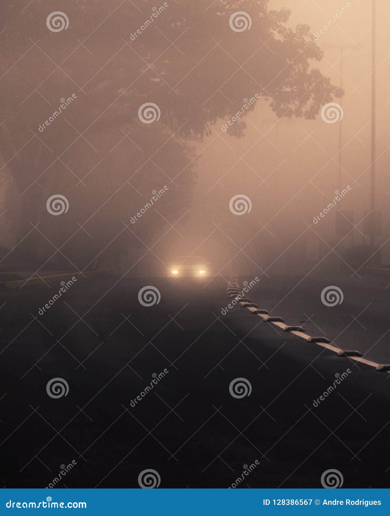 Car headlights in the mist stock image. Image of bright - 128386567