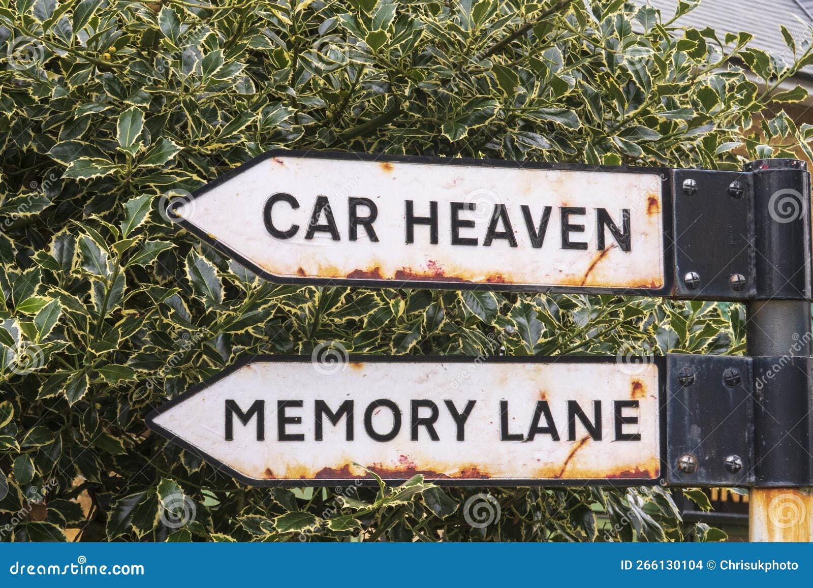 Car Heaven and Memory Lane Signs Stock Photo - Image of drive ...