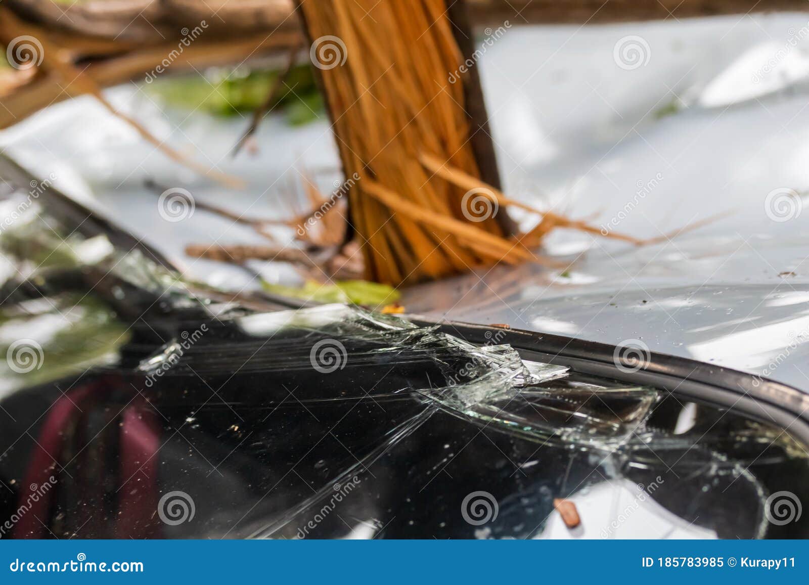 Car Hit by Tree Fell on it. Due To Rain and Storms Causing Trees To ...