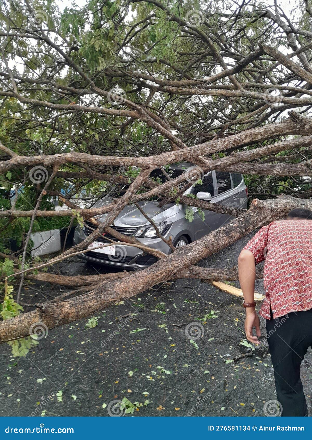 Car Hit by a Tree?this is Made in Chines Very Strong Editorial Stock ...
