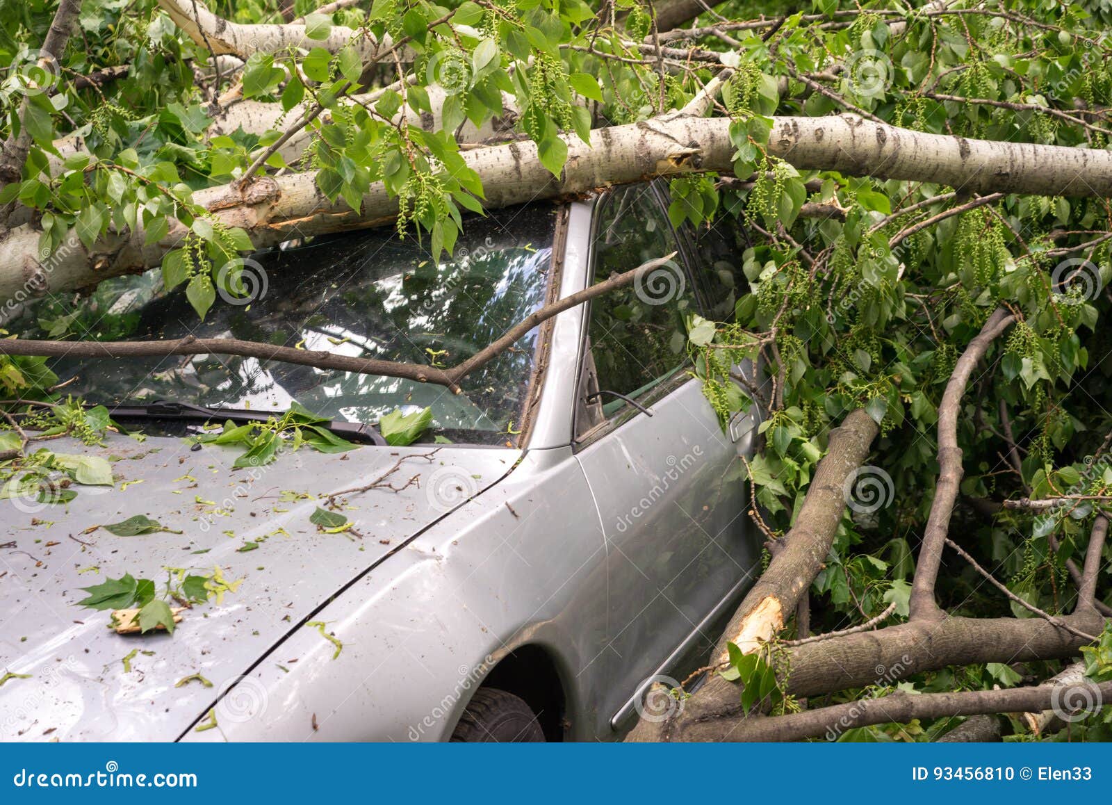Car after hurricane stock photo. Image of problem, fallen - 93456810