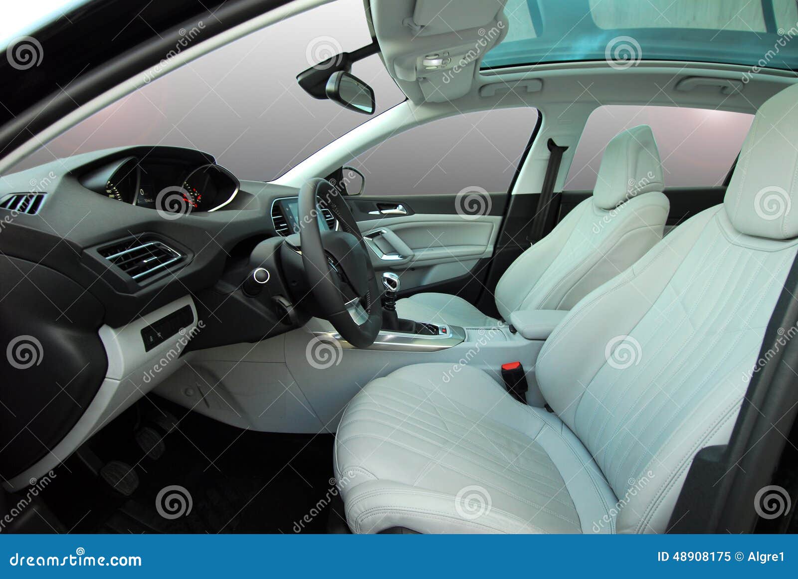Car inside stock image. Image of driving, leather, frontseat - 48908175