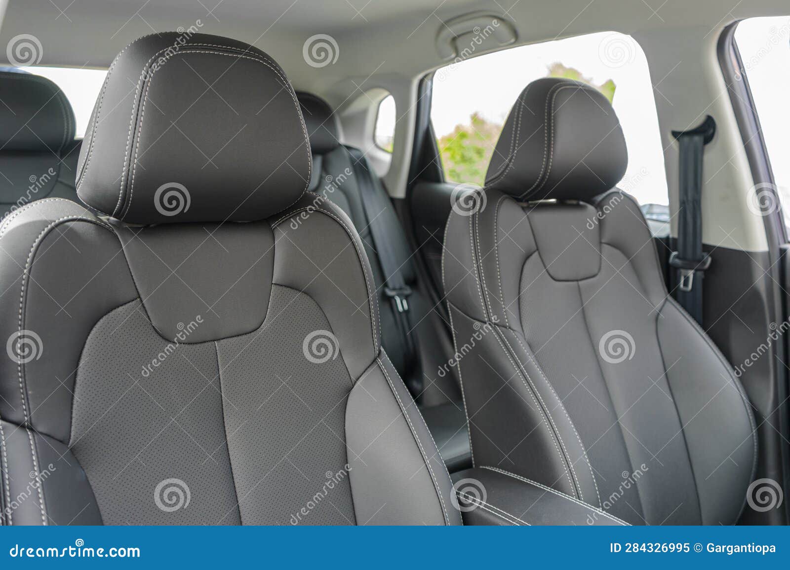 Close-up View of a Comfortable Leather Seats in a Luxury Modern Car ...
