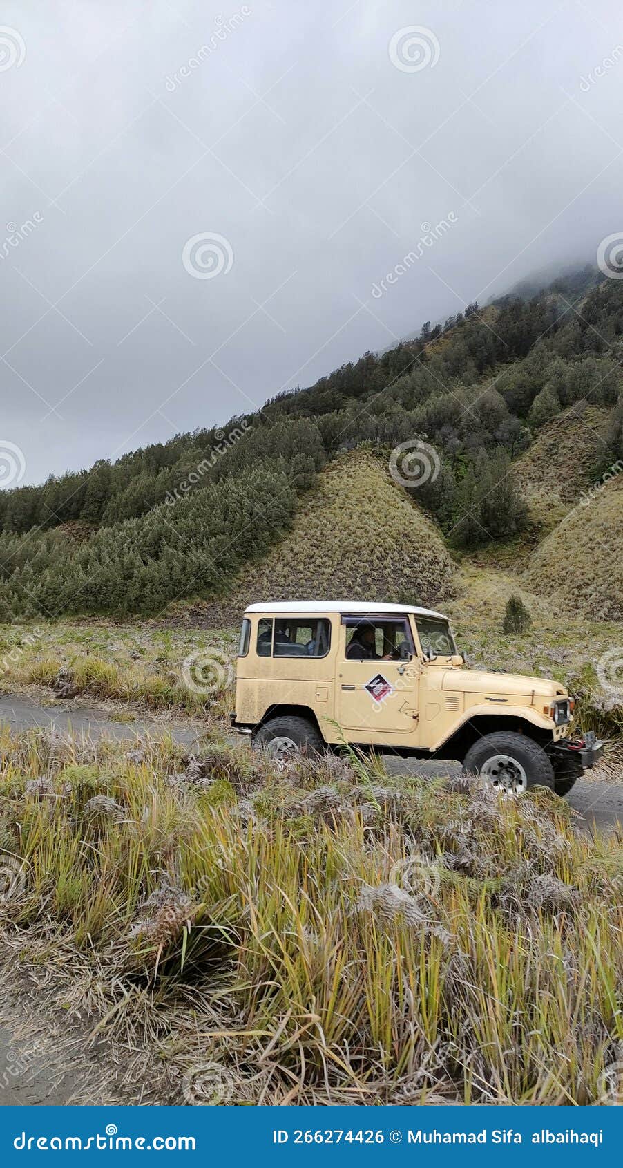 Car/Jeep in mountain bromo stock photo. Image of truck - 266274426