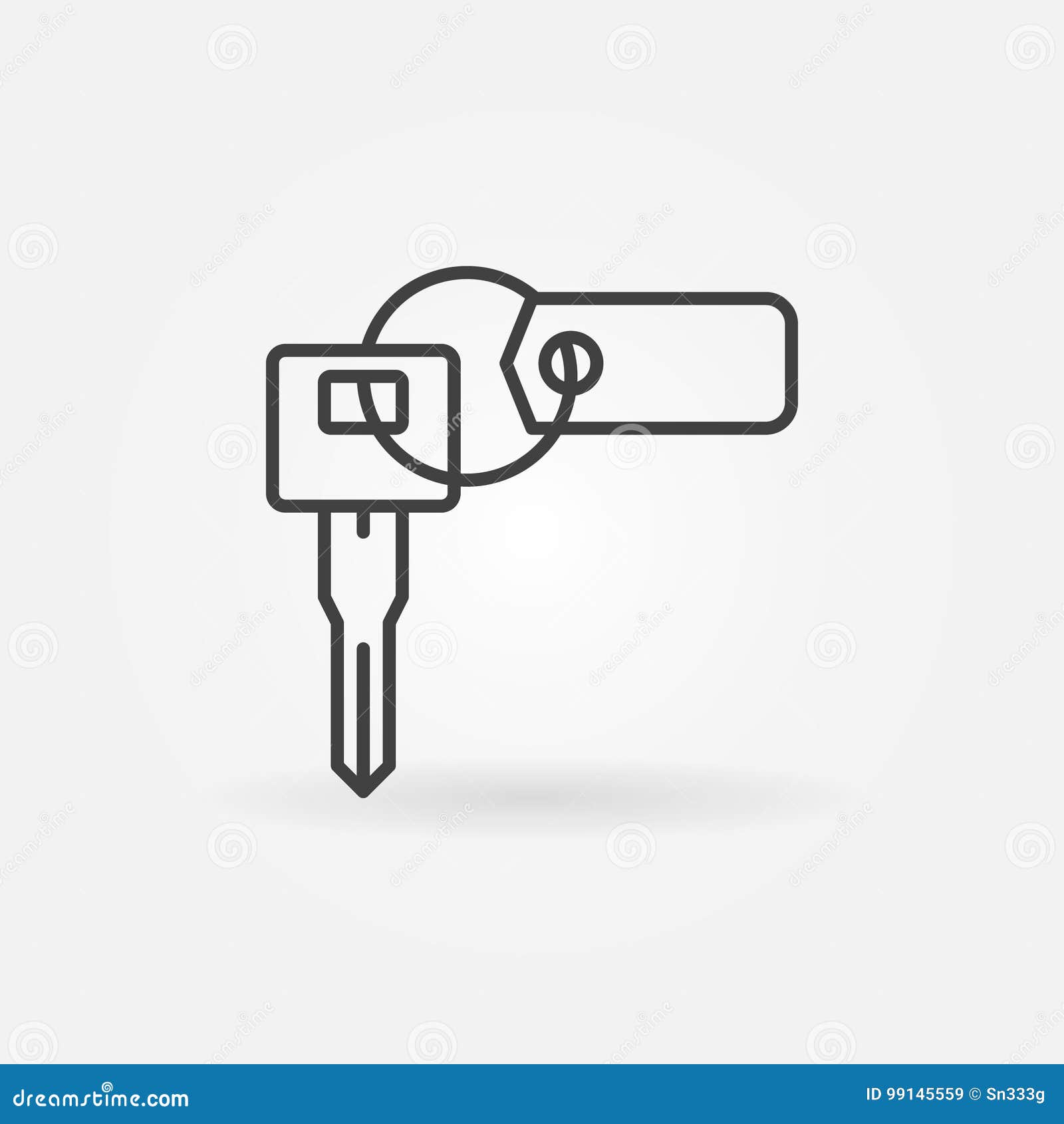 Car key with tag icon stock vector. Illustration of line - 99145559