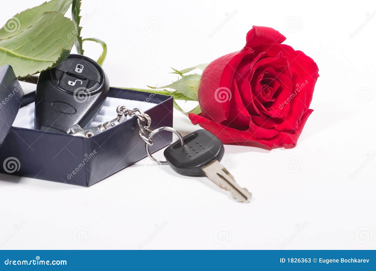 Car Keys and Beautiful Rose Stock Image - Image of love, ribbon: 1826363