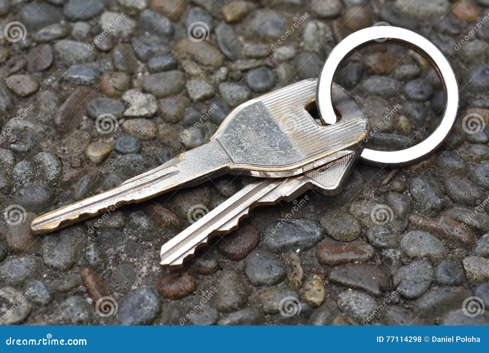 Car keys on pavement stock photo. Image of chrome, scratch - 77114298