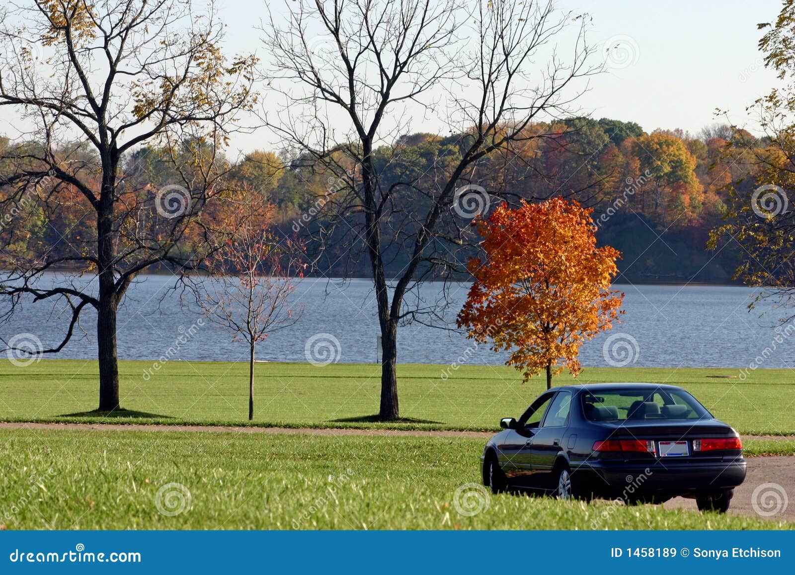 Car at the lake stock image. Image of orange, water, green - 1458189