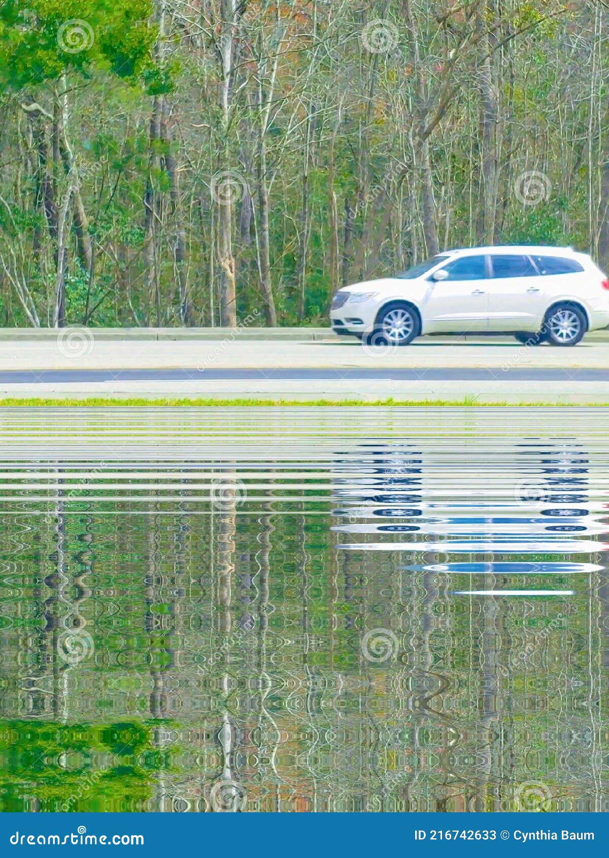 Car by Lake stock image. Image of trees, vehicle, driving - 216742633