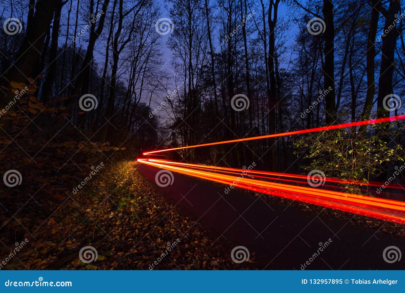 Car Light Speed Blurs in a Forest at Night Stock Image - Image of light ...