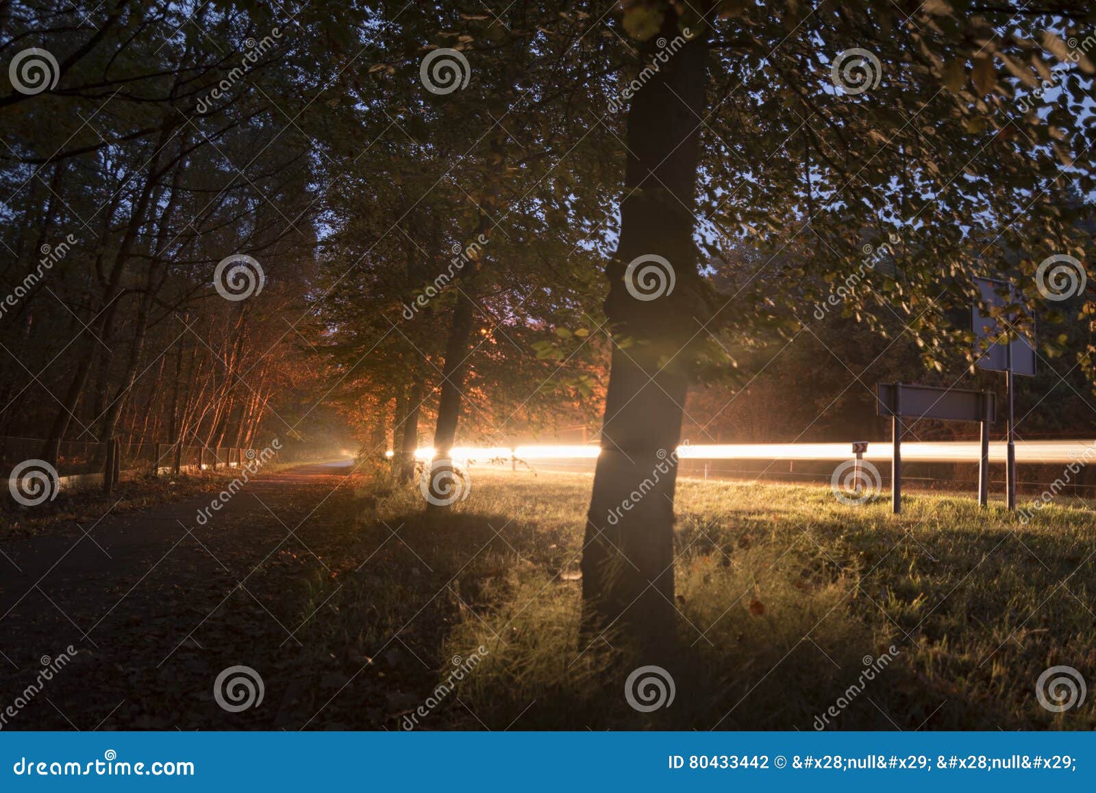 Car Light Trails in Beautiful Autumn Colored Forest Stock Photo - Image ...