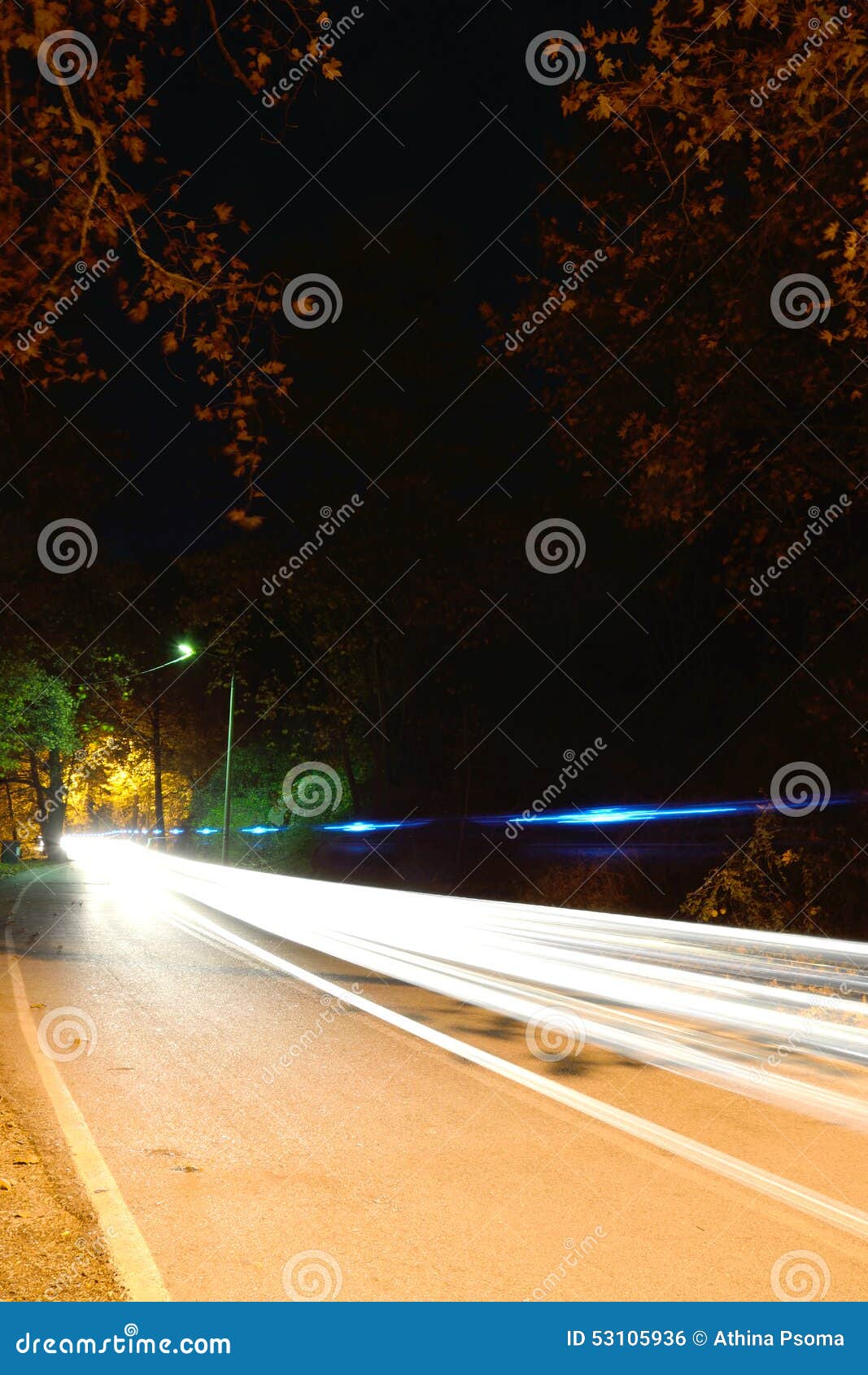 Car Light Trails in the Woods Stock Photo - Image of twilight, night ...