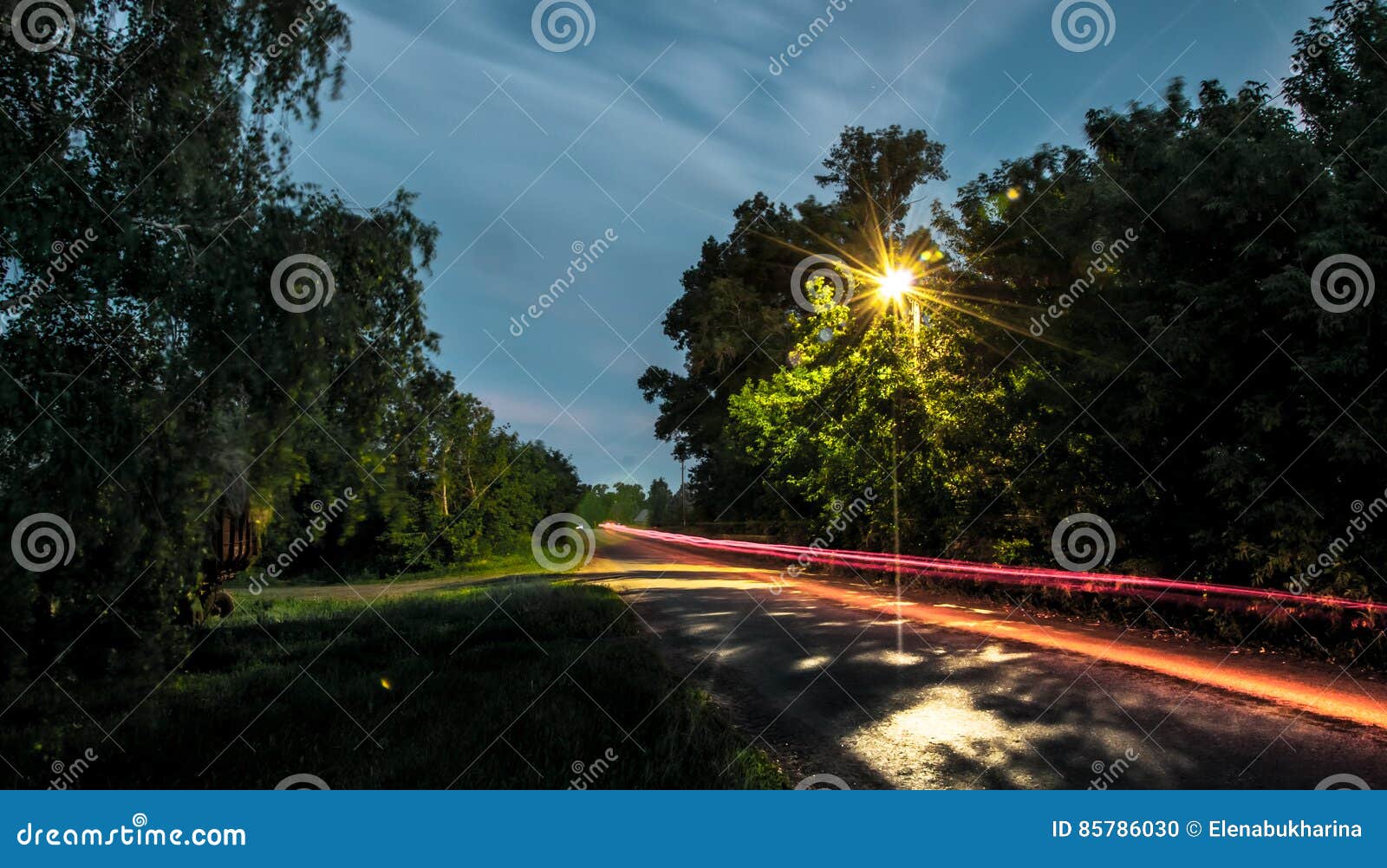 Car Lights Tracks on the Road in Forest at Night. Stock Photo - Image ...
