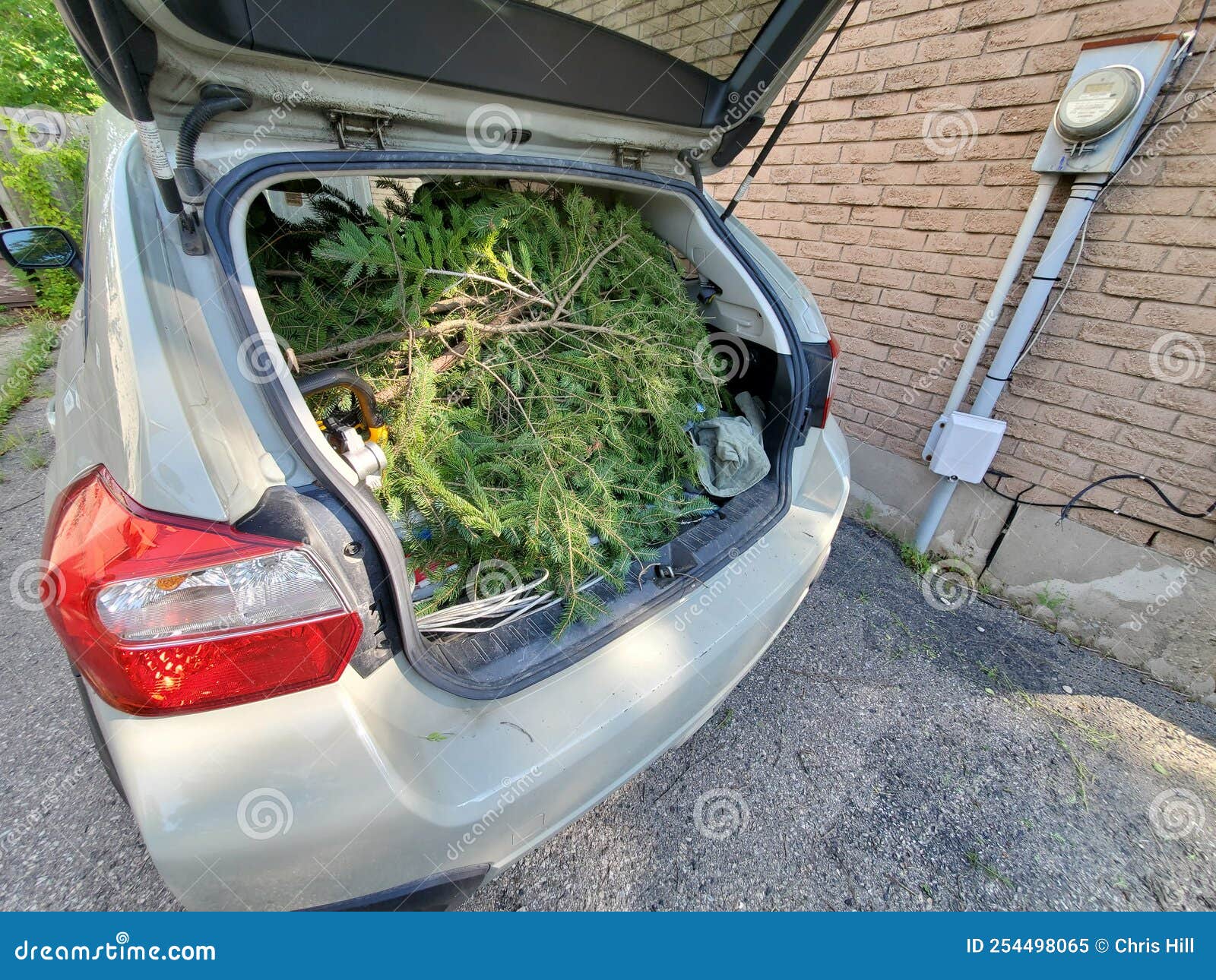 Car Loaded with Yard Waste stock image. Image of pile - 254498065