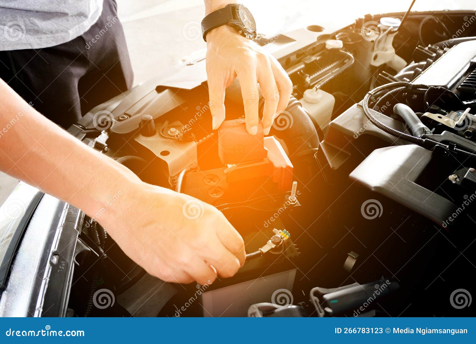 Car Engine Inspection Stock Photography | CartoonDealer.com #38684564
