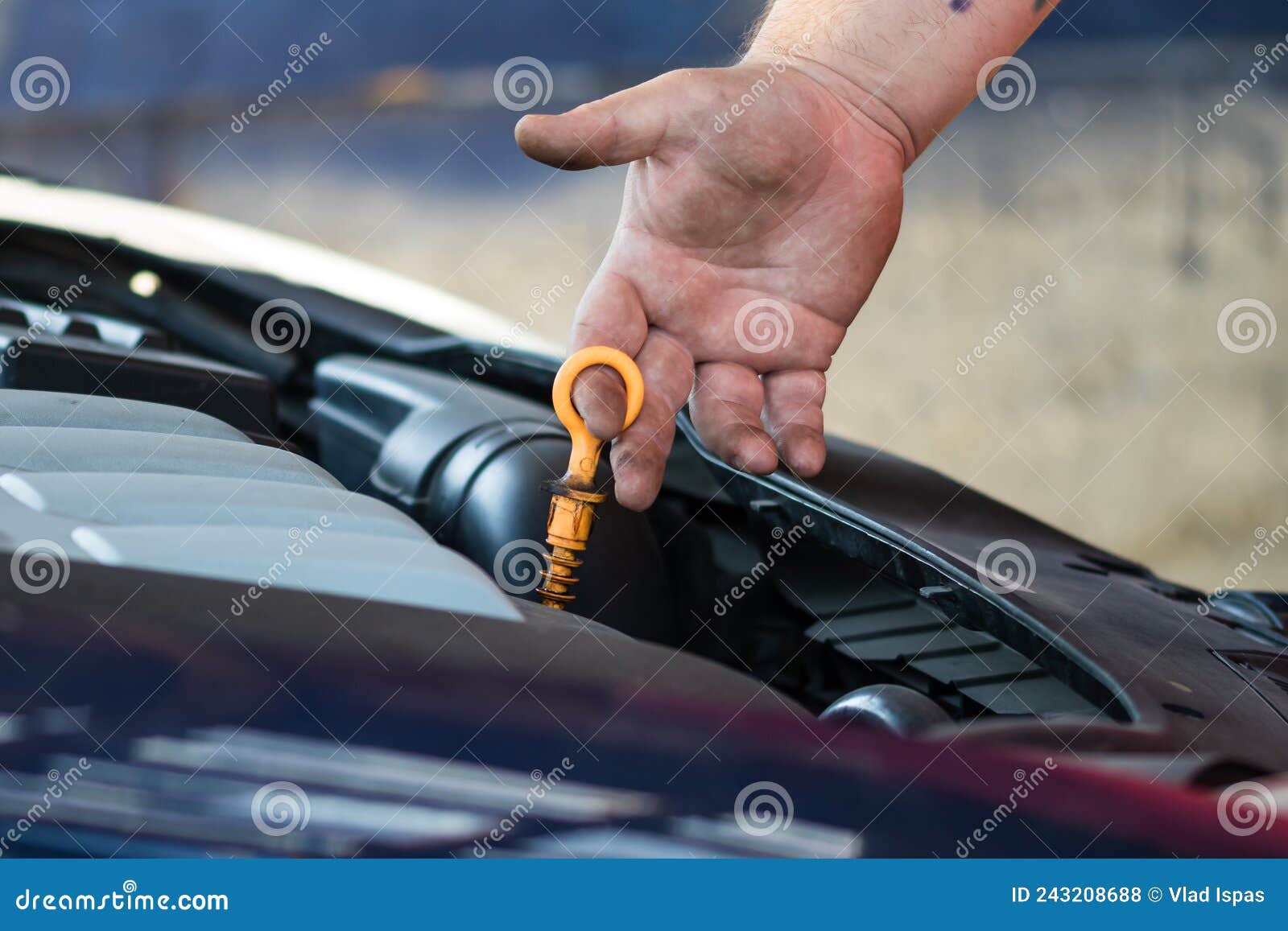 Car Mechanic Checking the Engine Oil Level Stock Photo - Image of ...