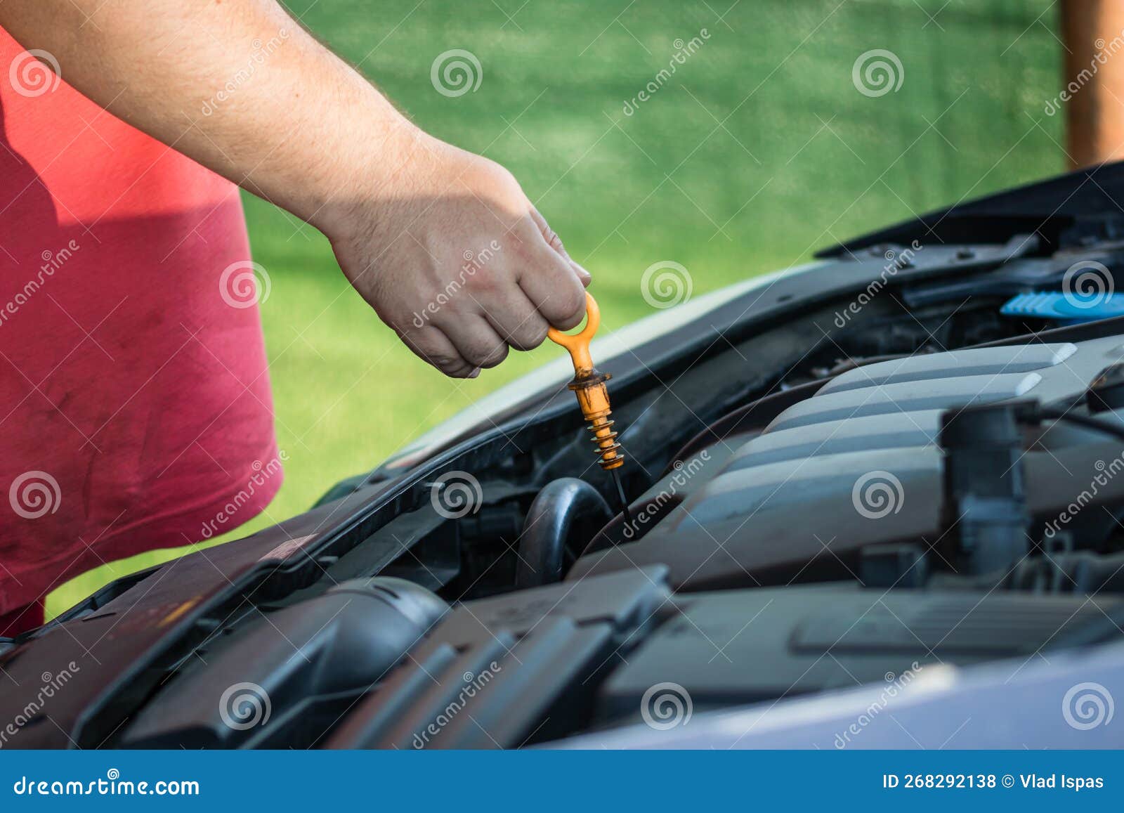 Car Mechanic Checking the Engine Oil Level Stock Photo - Image of ...