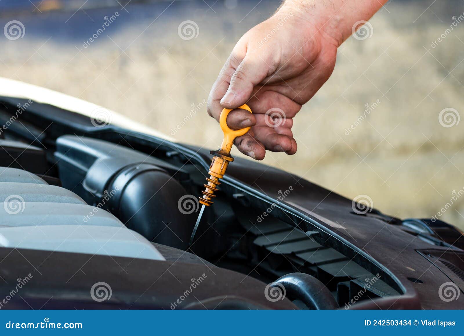 Car Mechanic Checking the Engine Oil Level Stock Photo - Image of ...