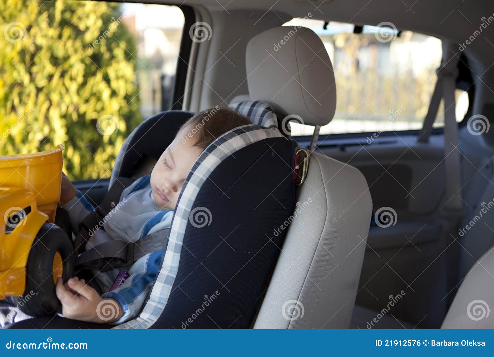 Car Nap stock photo. Image of interior, transport, cute - 21912576