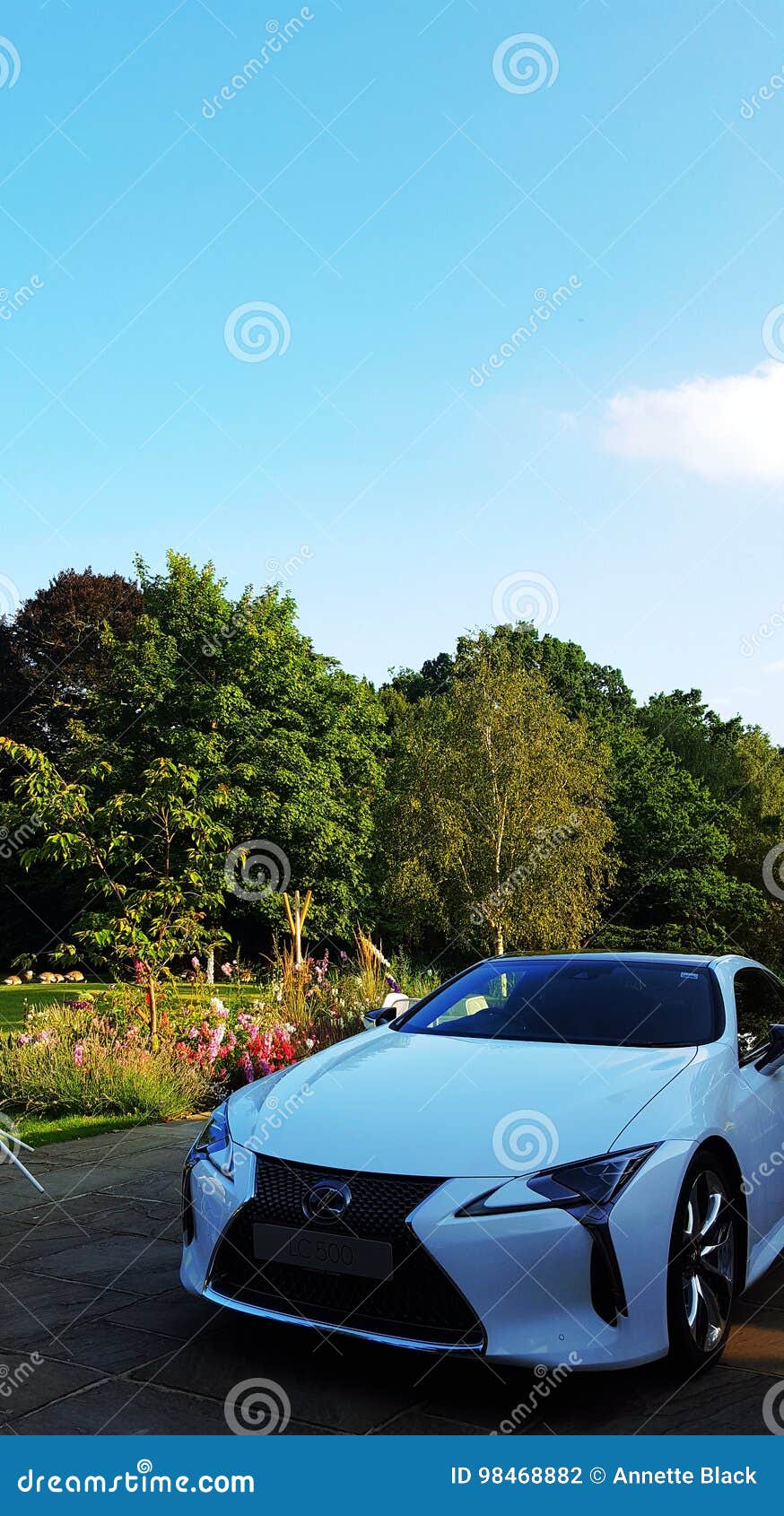 Car and nature editorial photography. Image of backed - 98468882