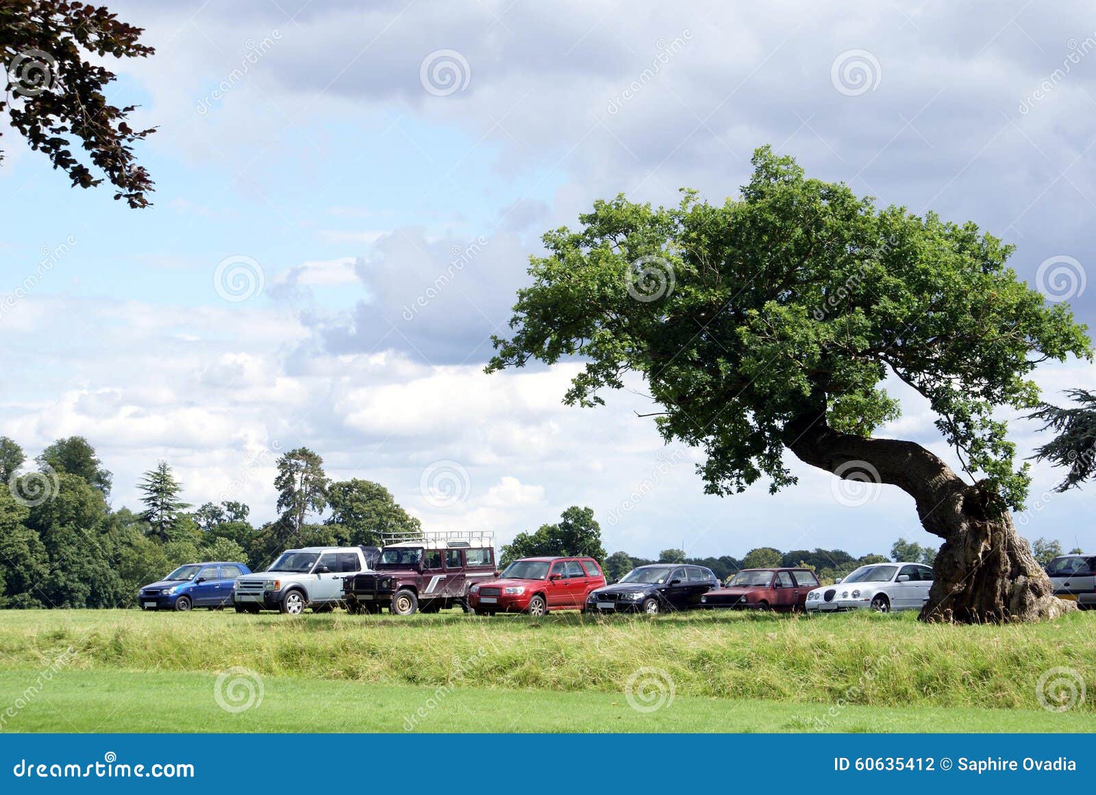 Car park stock photo. Image of outdoor, trees, auto, details - 60635412