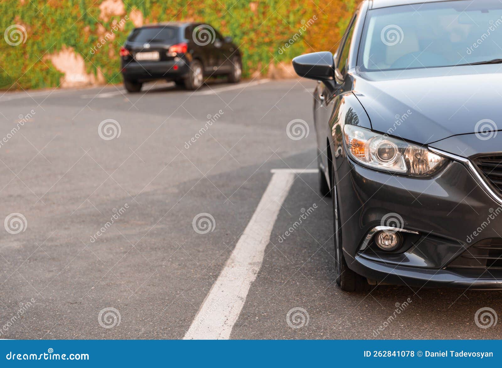 Car park in parking area stock photo. Image of classic - 262841078