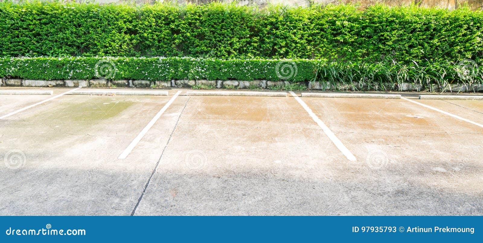 Car Park and Trimmed Bushes Stock Image - Image of city, mark: 97935793
