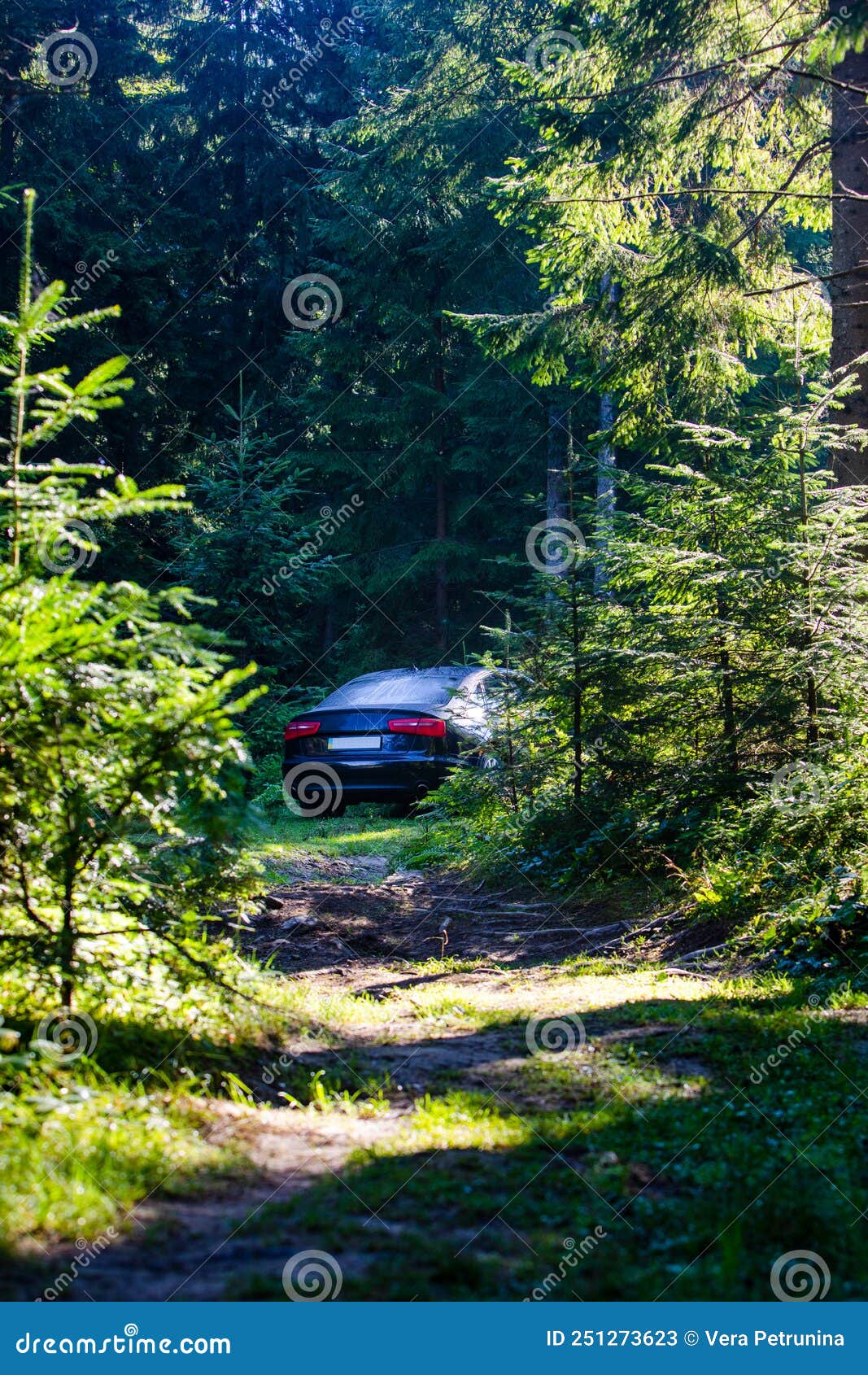 Car parked at the forest stock image. Image of tour - 251273623