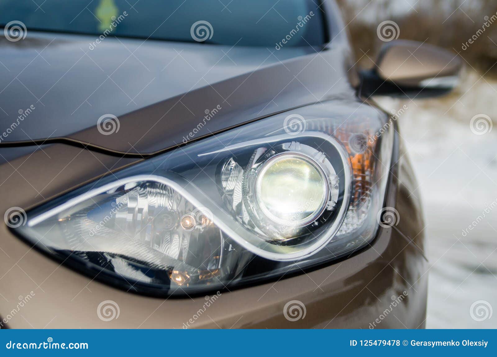 Car in Nature. Car Headlight of a Brown Car Stock Photo - Image of ...