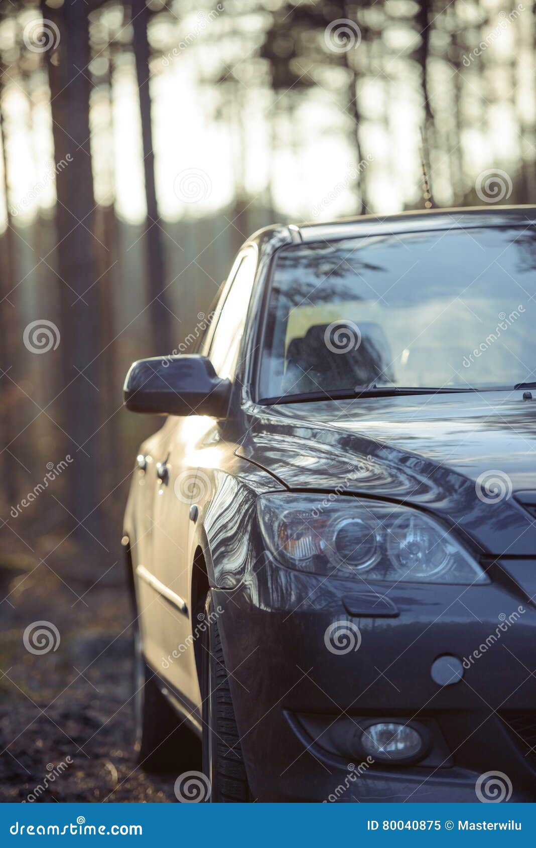 Car Parked Next To the Wood Stock Image - Image of transportation ...