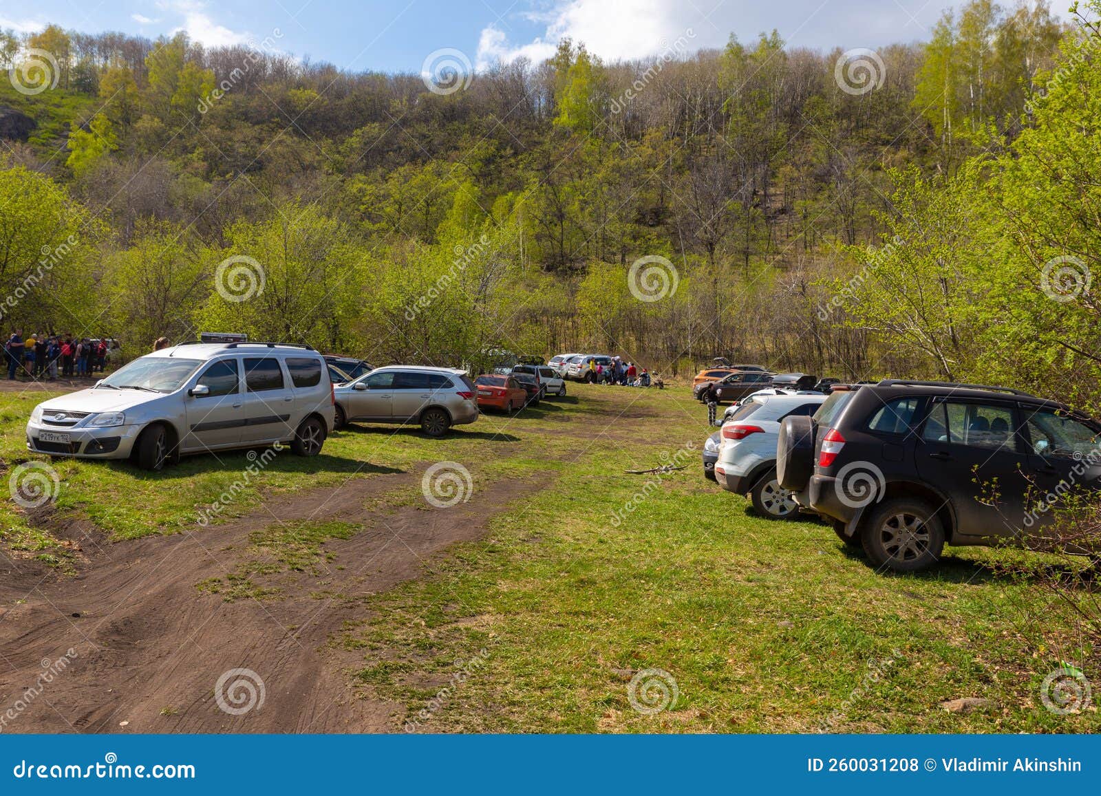 Car Parking in the Forest on a Glade in Violation of All the Rules ...