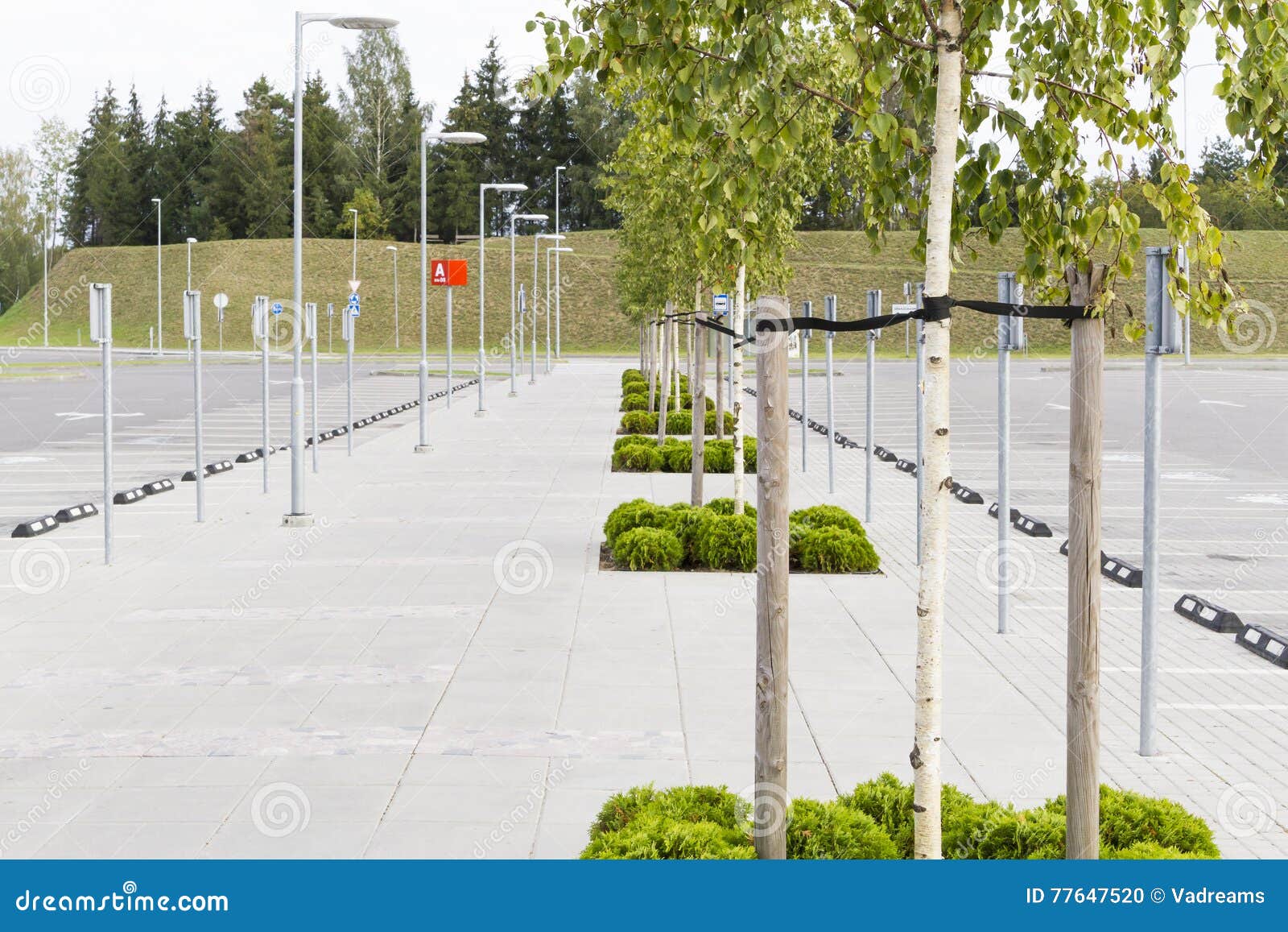 Car parking lot area stock photo. Image of black, plant - 77647520