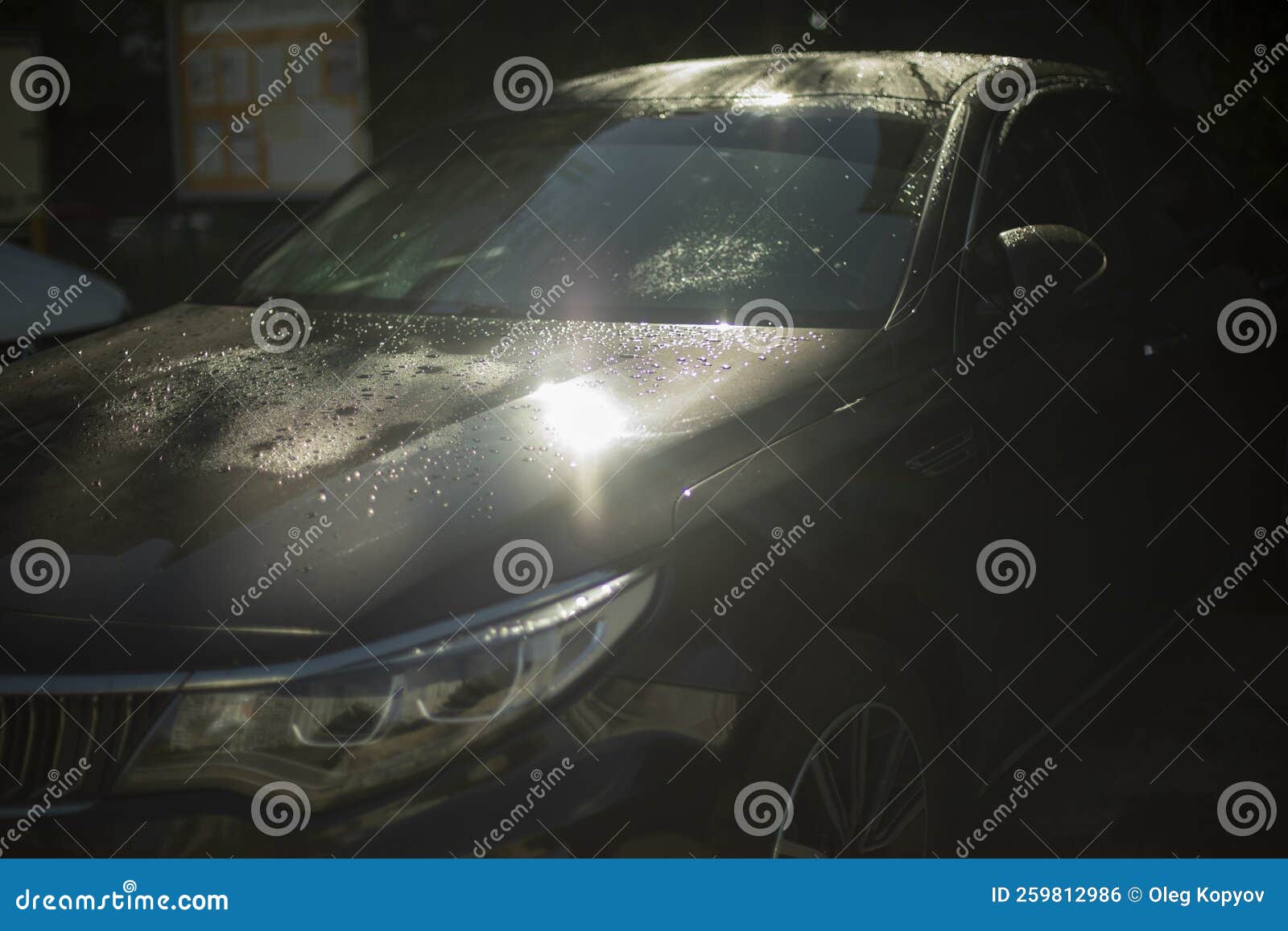 Car in Parking Lot. Black Car in Sun Stock Photo - Image of modern ...