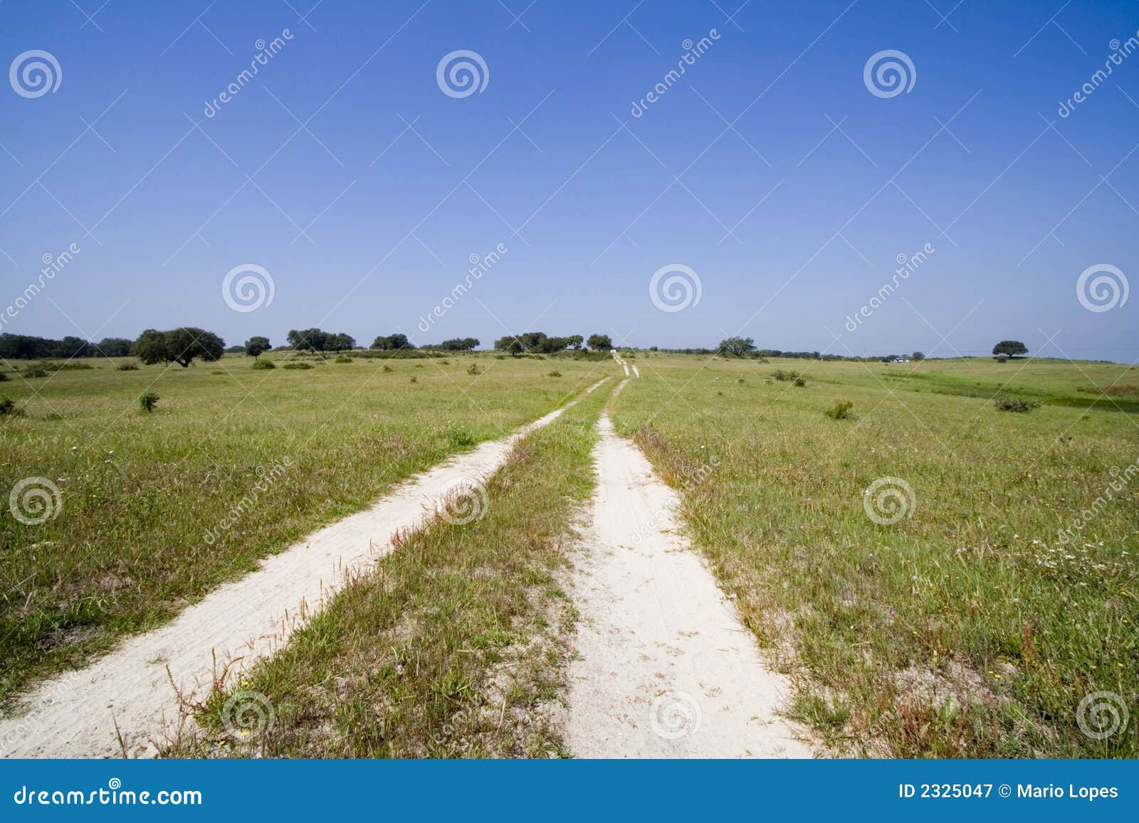 Car path in landscape stock image. Image of colorful, footpath - 2325047