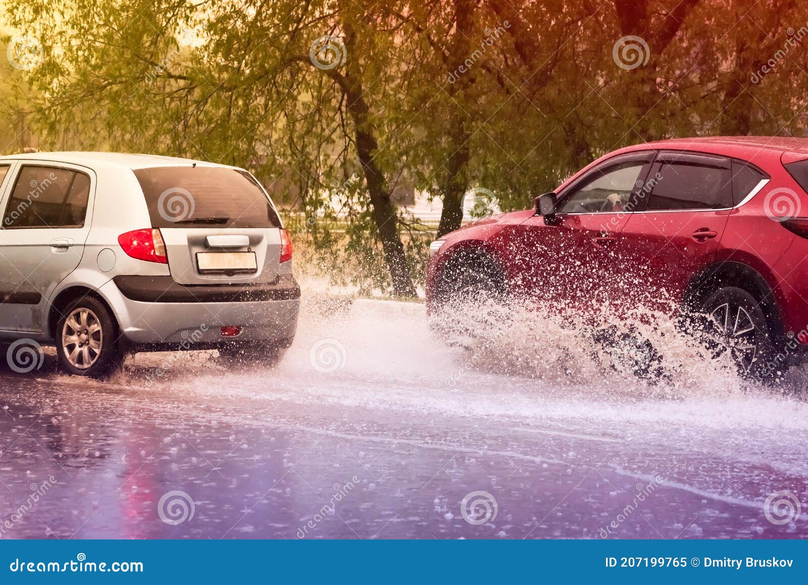 Car Rain Puddle Splashing Water Stock Image - Image of adventure, flood ...