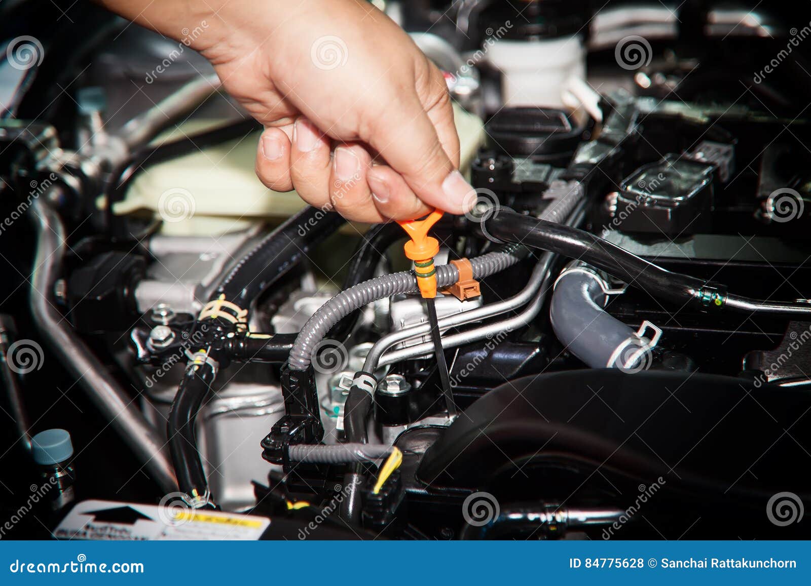 Car Repair Service, Auto Mechanic Checking Oil Level in a Engine Stock ...