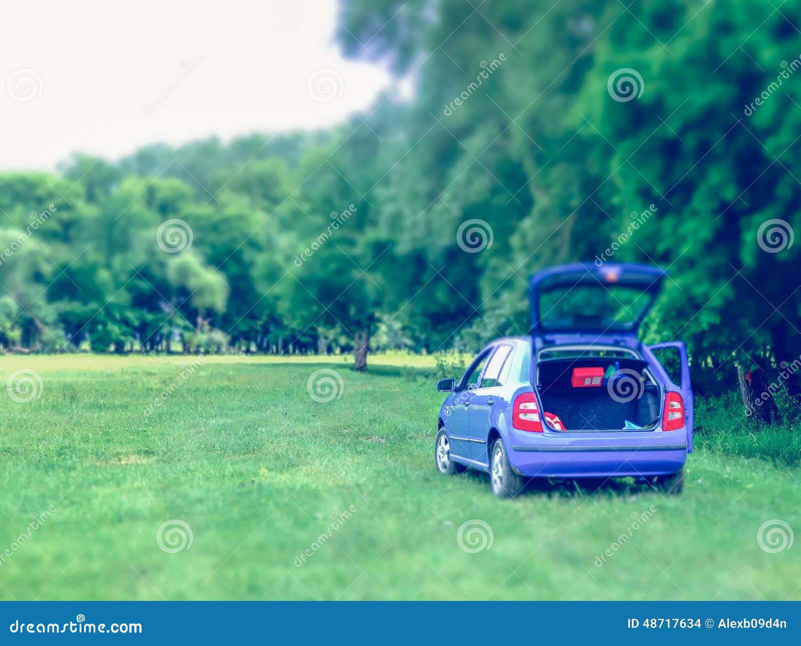 Car rest stop stock photo. Image of grassland, tree, three - 48717634