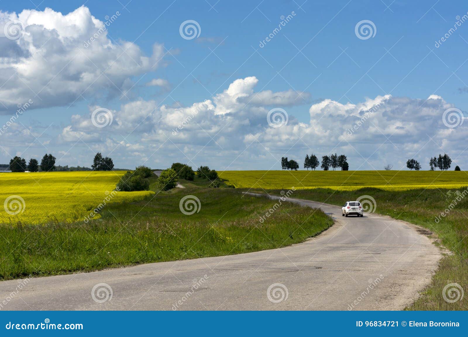 Car Rides on Paved Road among the Fields and Trees Stock Image - Image ...