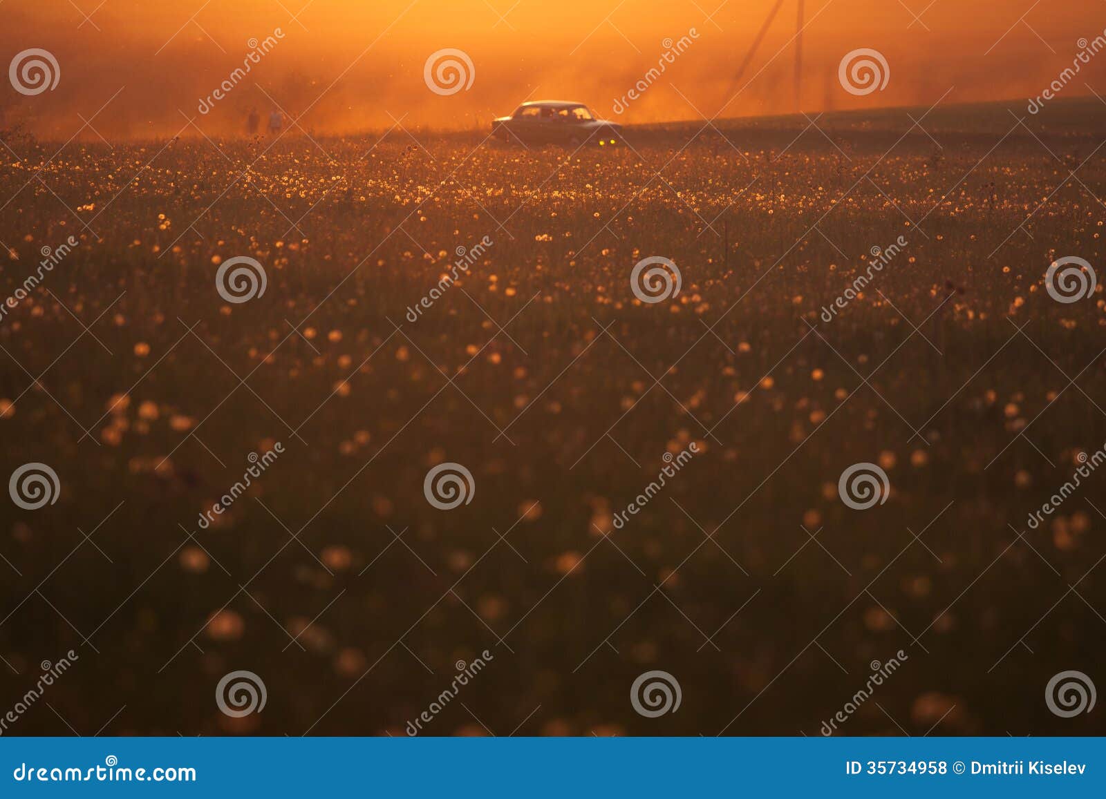 Car Rides at Sunset on Meadow Stock Photo - Image of automobile, summer ...