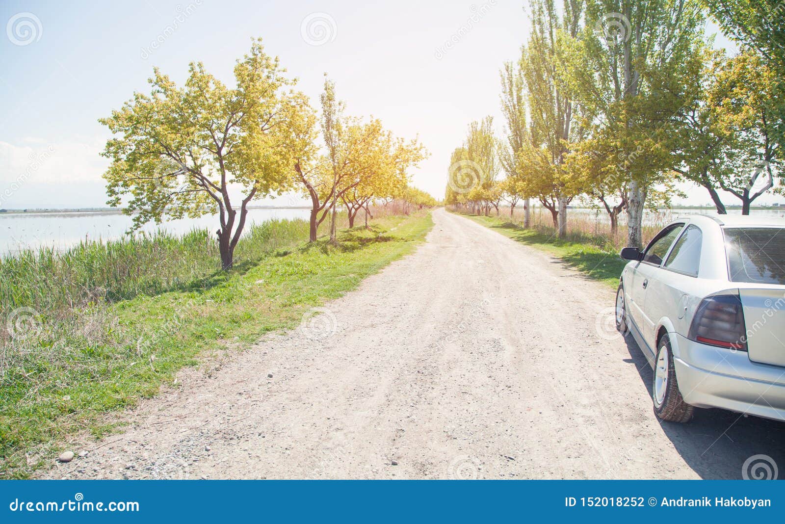 Car on Road with Sunlight. Transportation, Travel Stock Photo - Image ...
