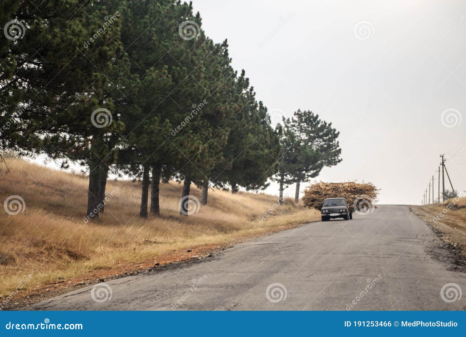Car on Rural Road Transporting Corn Stock Photo - Image of country ...